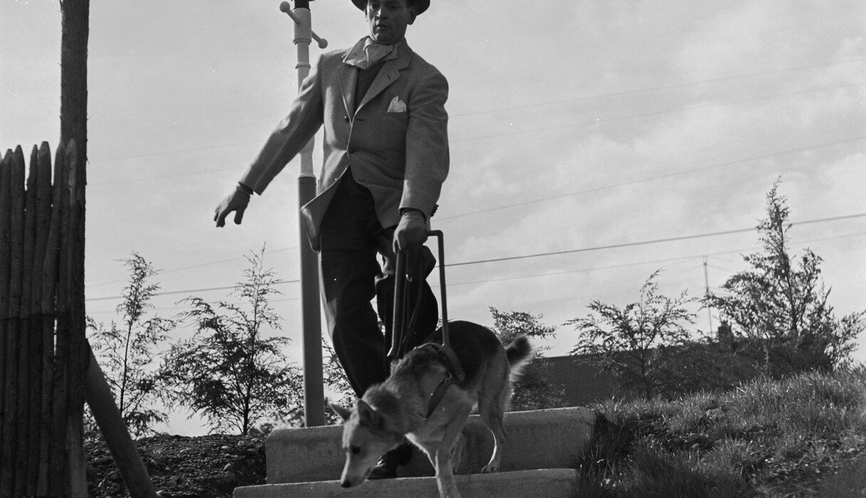 "Citizen Canine" -- A Brief History Of Cats And Dogs - The Dodo