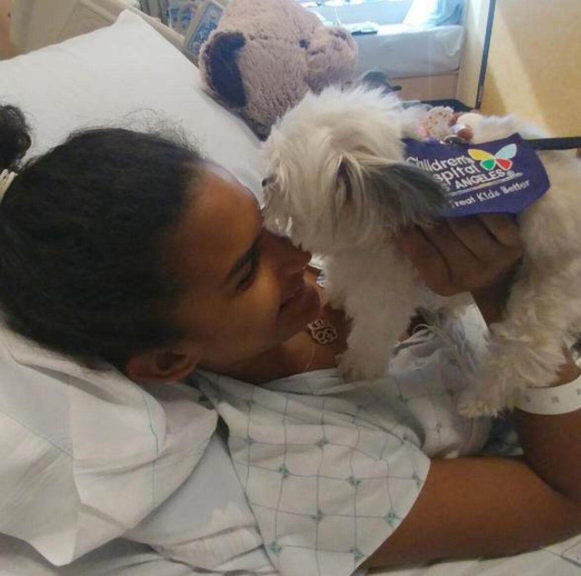 This Tiny Therapy Dog Is REAL And Loves Giving People High-Fives - The Dodo
