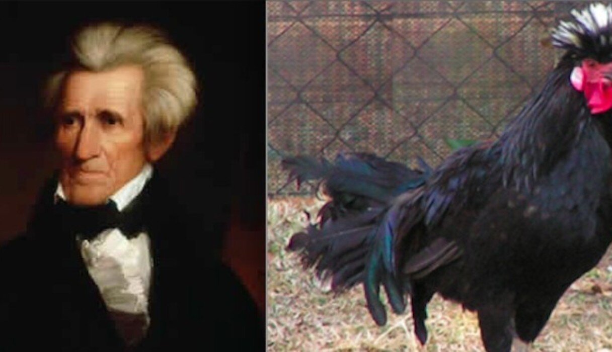 United States of Animals: 8 Presidents And Their Animal Look-Alikes ...