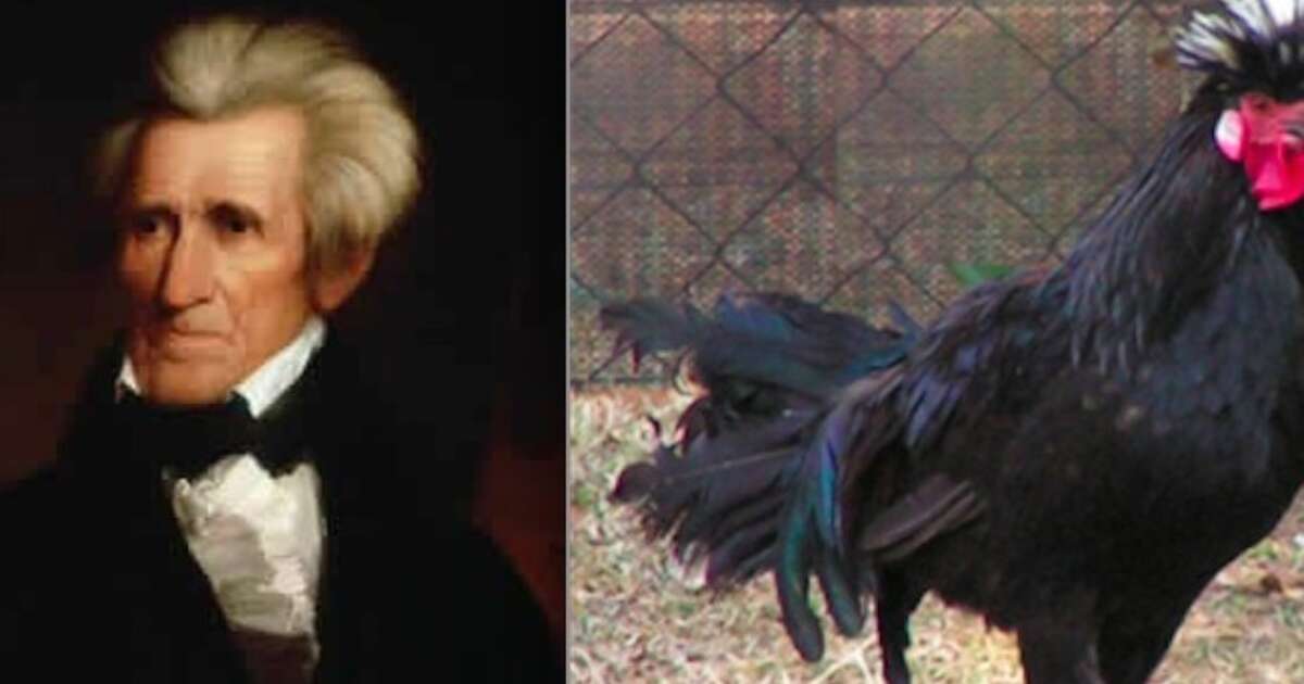 United States of Animals: 8 Presidents And Their Animal Look-Alikes ...