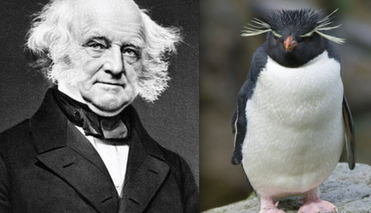 United States of Animals: 8 Presidents And Their Animal Look-Alikes ...