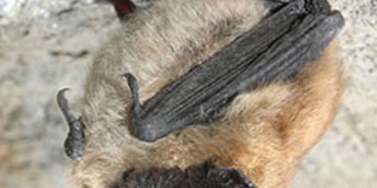 Free Captive Orcas from #SeaWorld's Exploitation: Join the Boycott ...