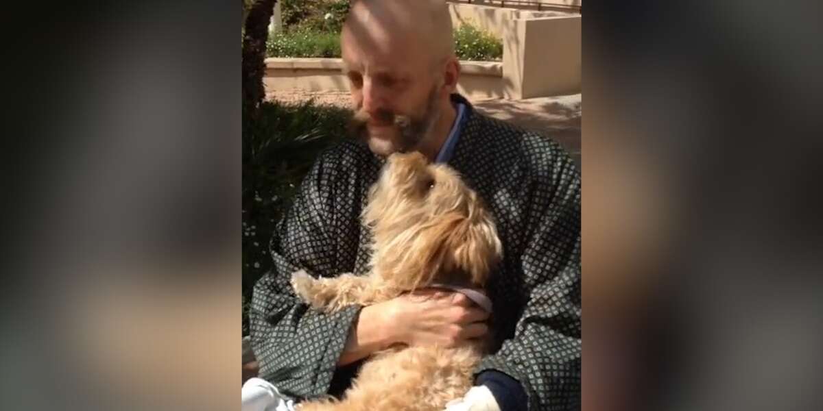 "Harry Potter" Actor Reunited With His Dog - Videos - The Dodo