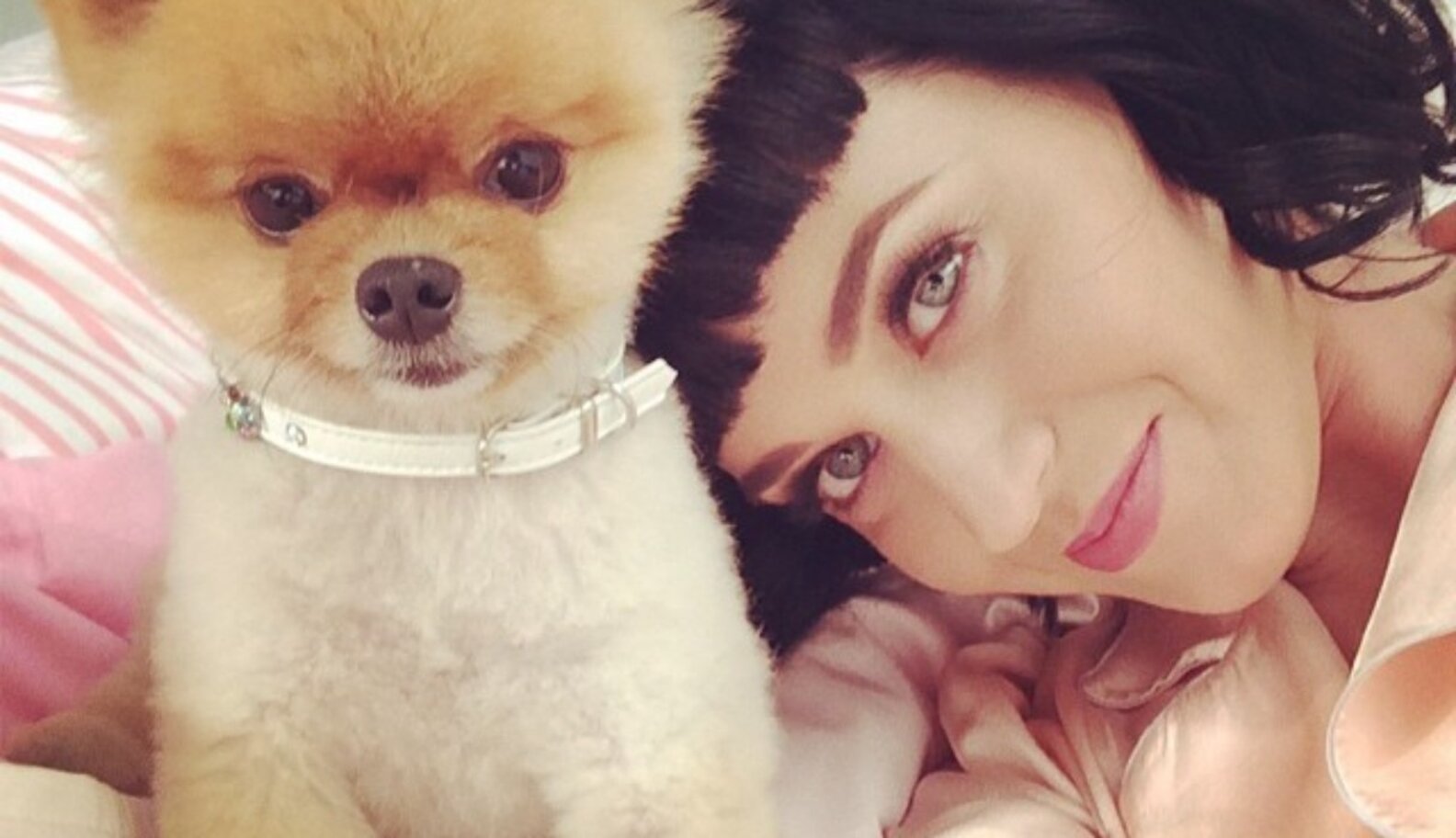 11 Celebrities Whose Pets Are As Awesome As They Are - The Dodo