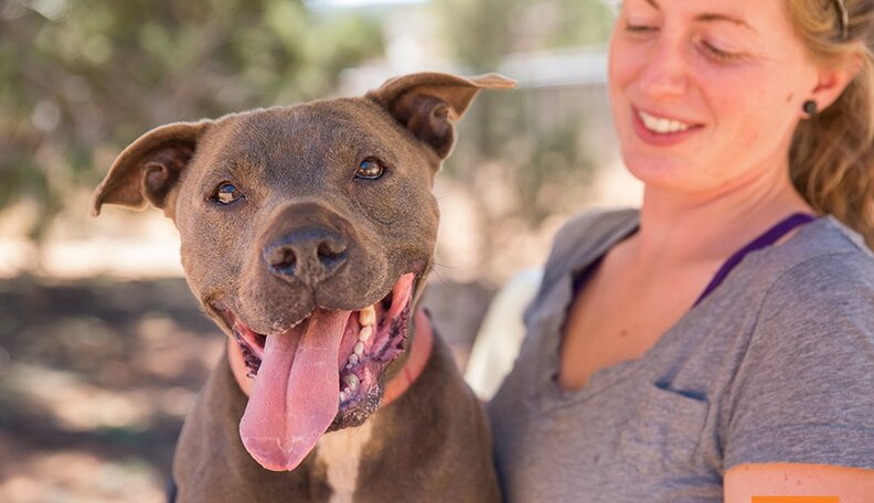 Playful Dog Has Been Waiting Nearly 4 Years For A Home - The Dodo