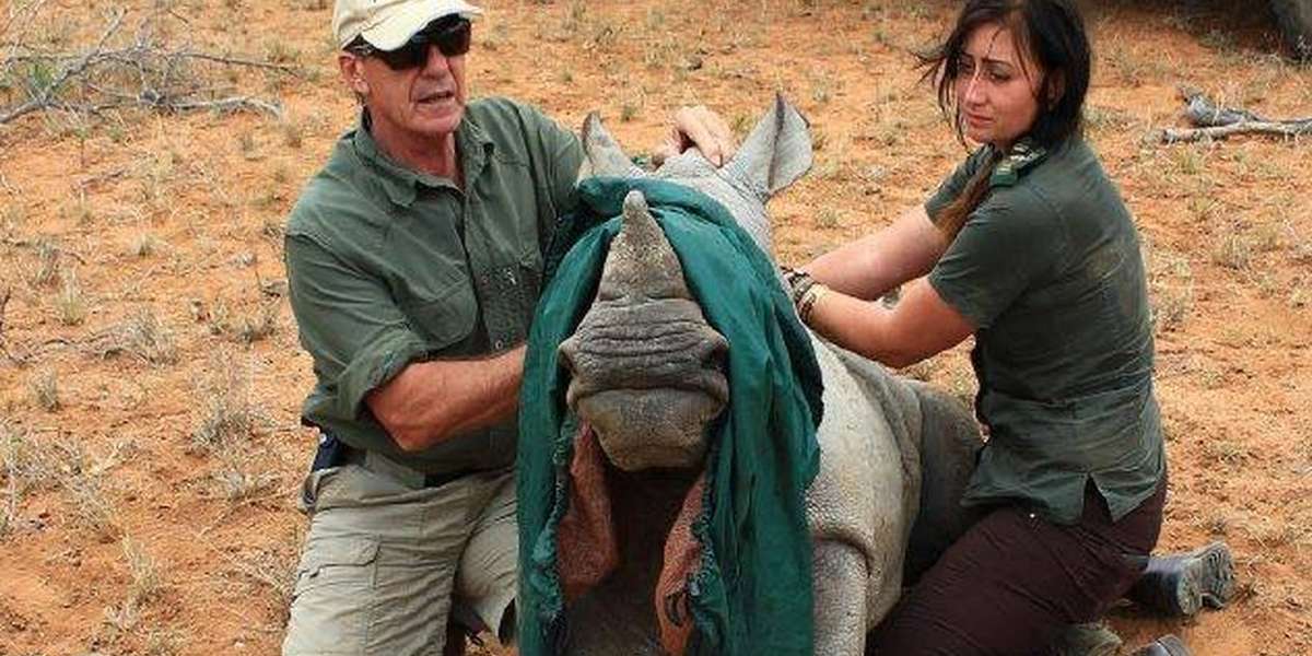 The Heartbreak Of Poaching, In One Bloodless Photo - The Dodo