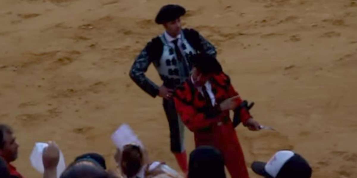 Dying Bull Is Comforted In Last Moments Despite Bullfighters' Protests ...