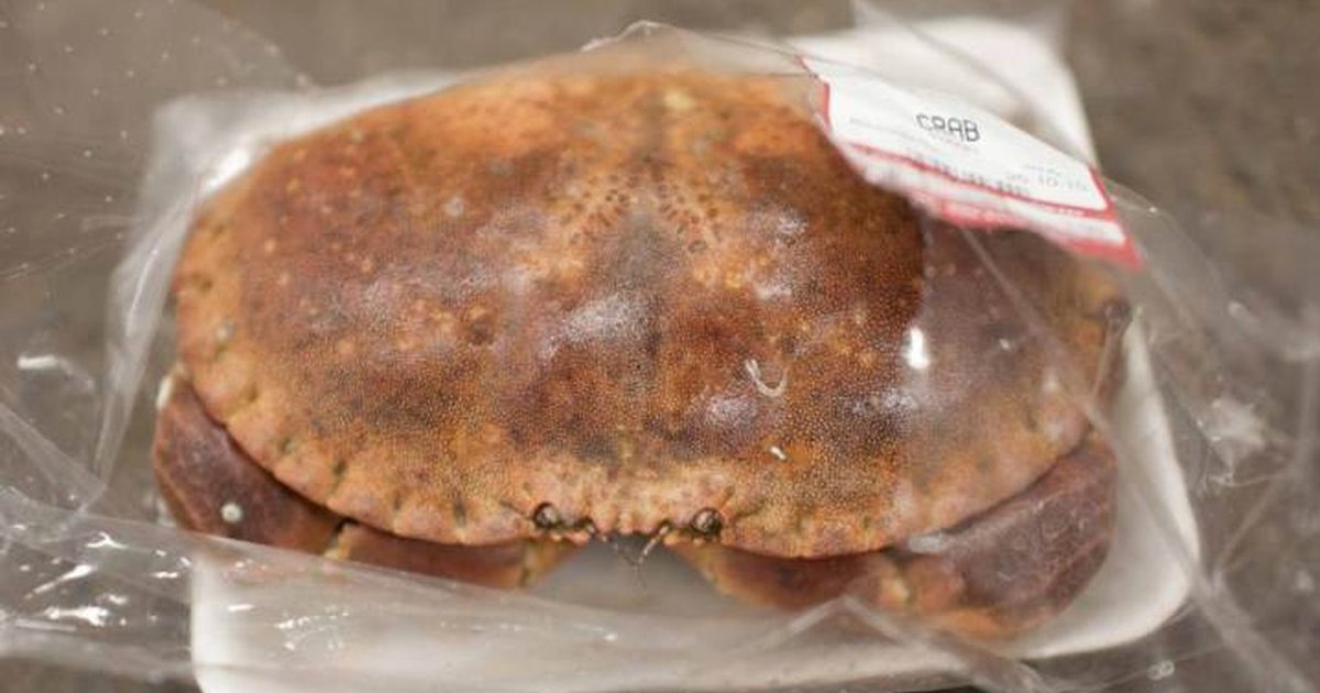 Grocery Store Caught Selling Shrink-Wrapped Animals ... ALIVE - The Dodo