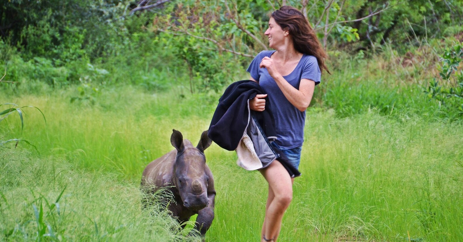 Tiny Rhino Follows Her Favorite Person Everywhere - The Dodo