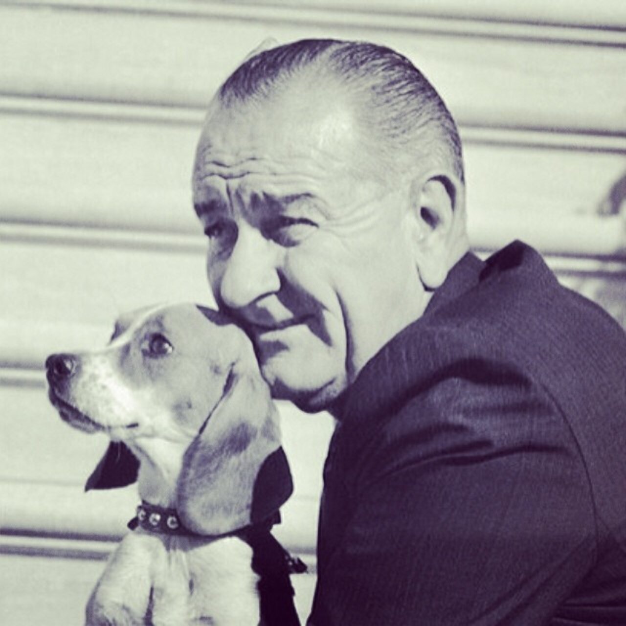 Lyndon B. Johnson with beagle pup, Freckles. Happy Presidents Day ...