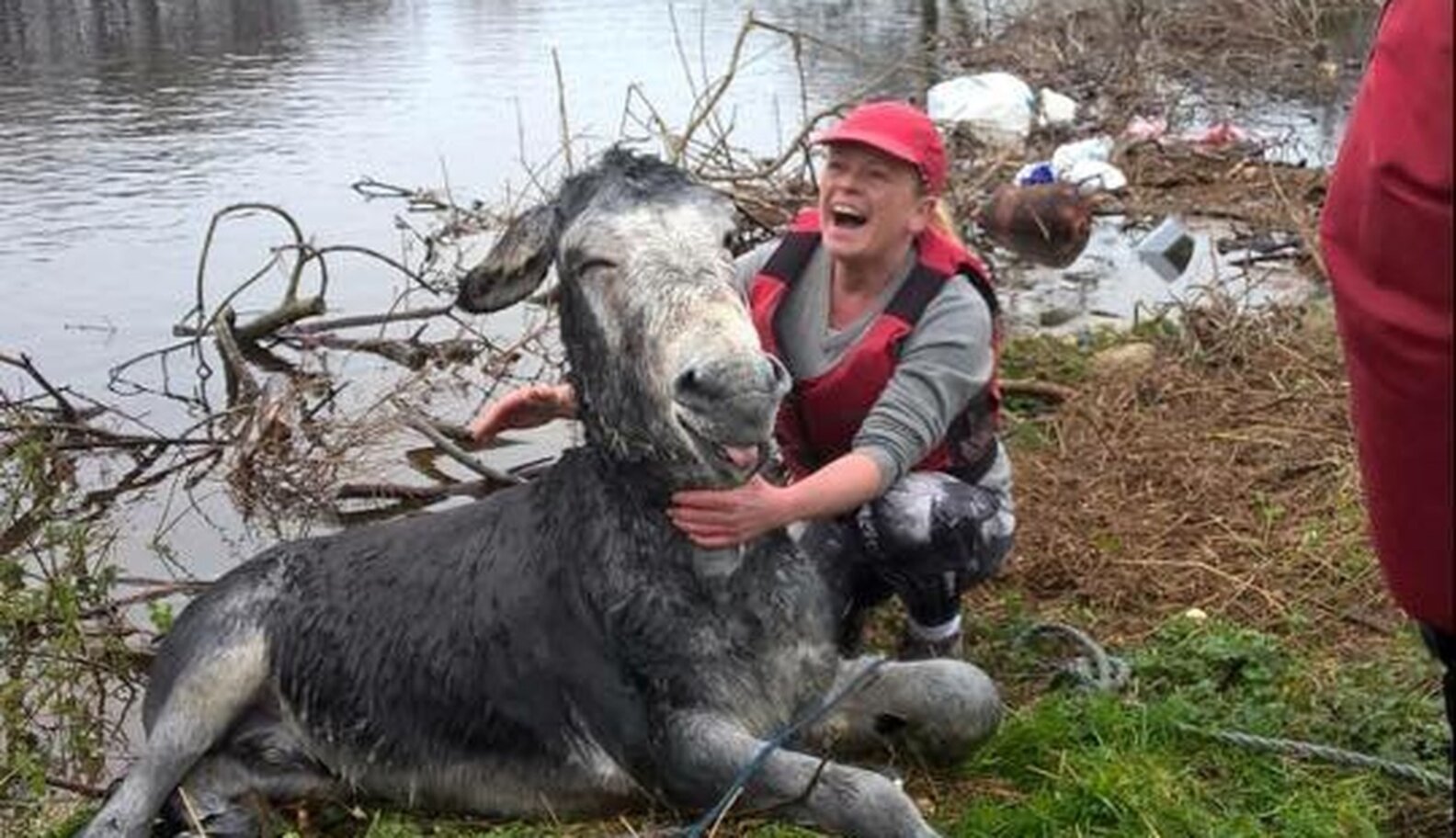 Donkey Who Nearly Died In Flood Breaks Into A Grin When He's Rescued ...