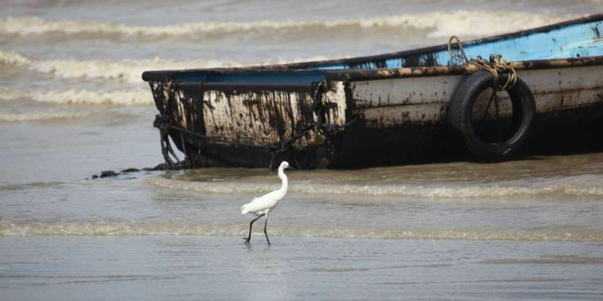 The Worst Oil Spill In Trinidad's History Is Killing Animals - The Dodo