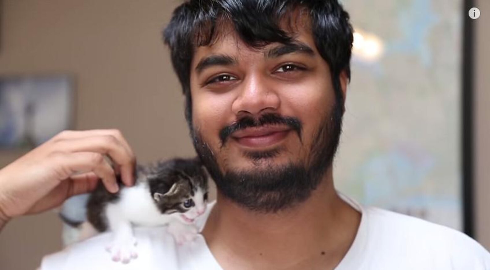 Sweet Foster Dad Steps In To Save The Lives Of 5 Little Kittens - The Dodo