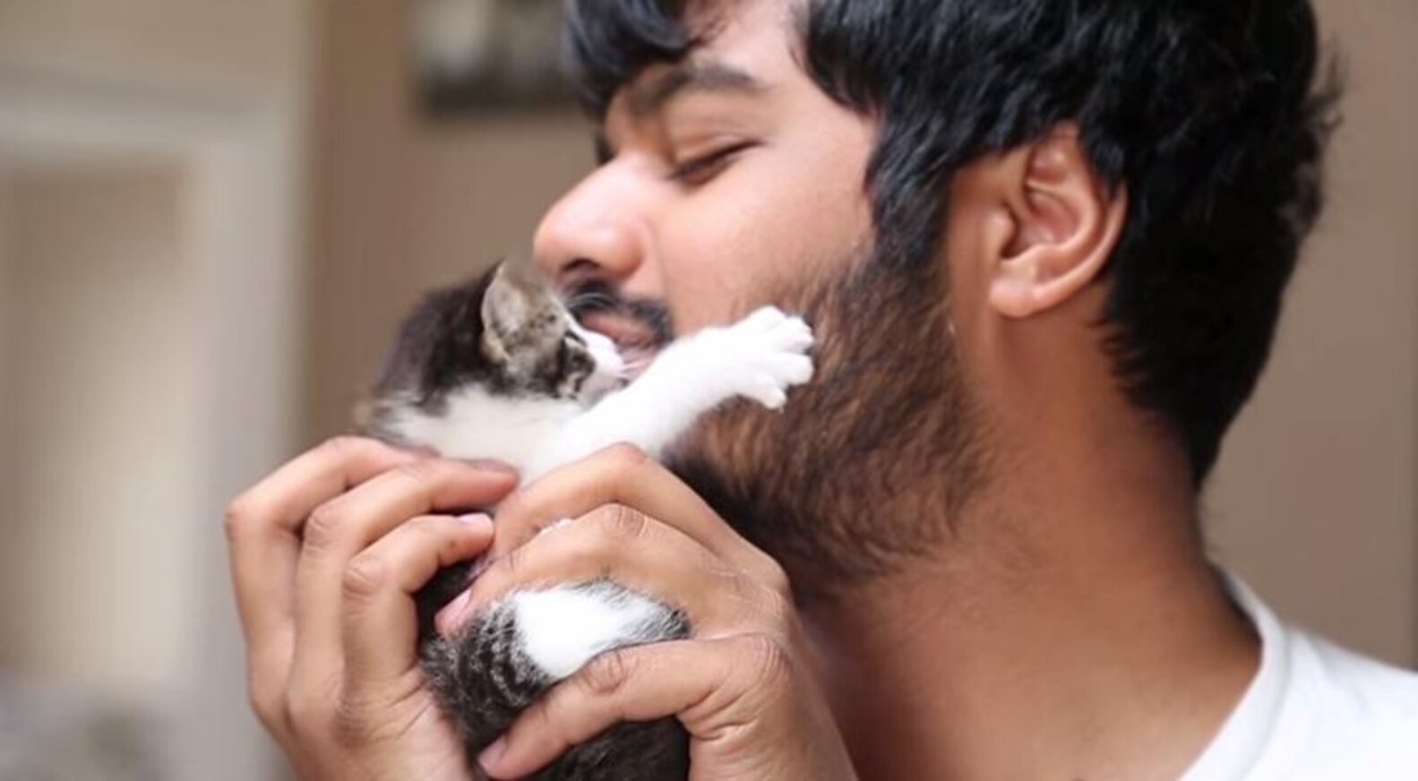 Sweet Foster Dad Steps In To Save The Lives Of 5 Little Kittens - The Dodo