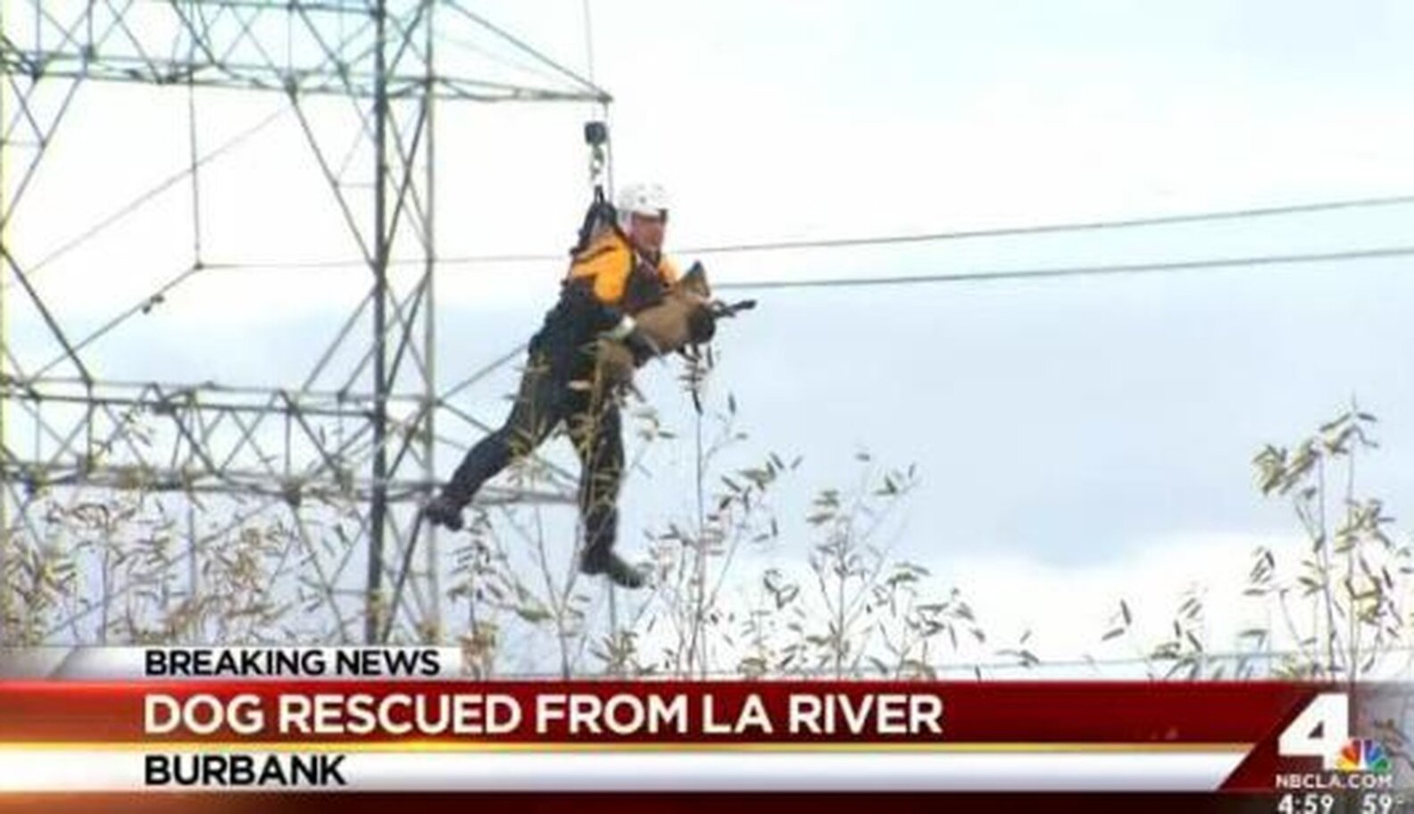 Dog Saved From River In Incredible Helicopter Rescue - The Dodo