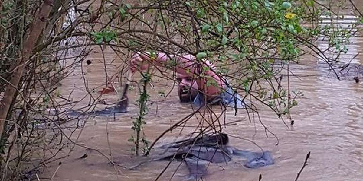 Man Dives Into Flash Flood, Fills His Boat Up With Animals - The Dodo