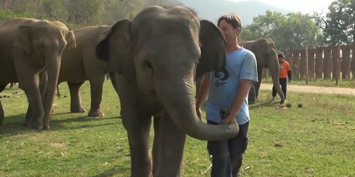 Elephant And Her Favorite Man Are Always Together - The Dodo