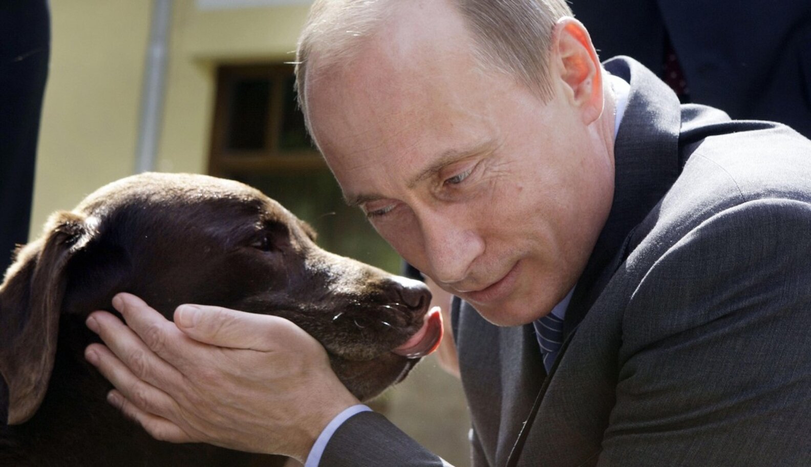 Proof Of Putin’s Puppy Love. But Will He Stop The Cull? - The Dodo