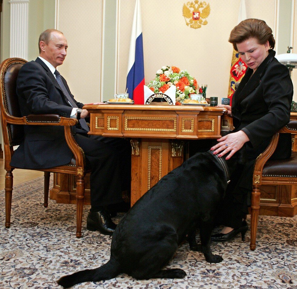 Proof Of Putin’s Puppy Love. But Will He Stop The Cull? - The Dodo