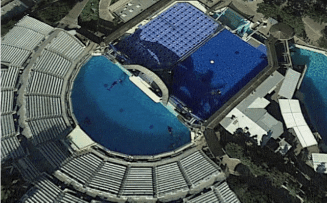 These GIFs Show What It Would Look Like If SeaWorld Freed Its Orcas ...