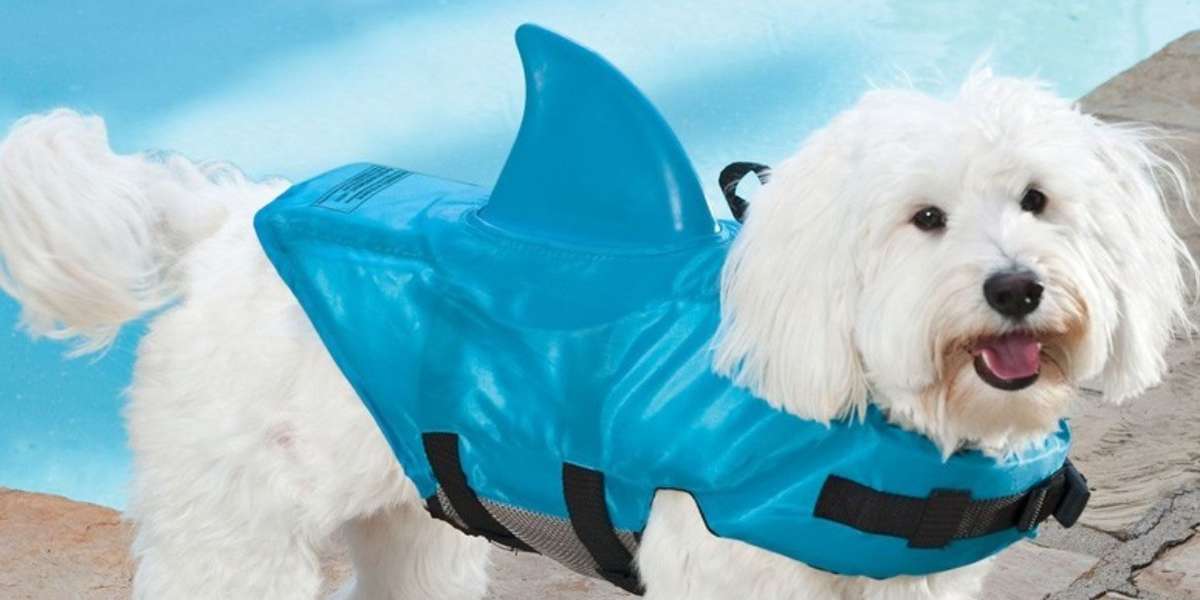 Don't Worry About Googling "Dogs In Life Vests" Because We Did It For ...
