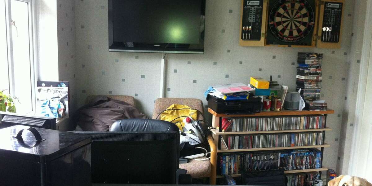 Spot The Pup: Can You Find These 13 Hidden Dogs? - The Dodo