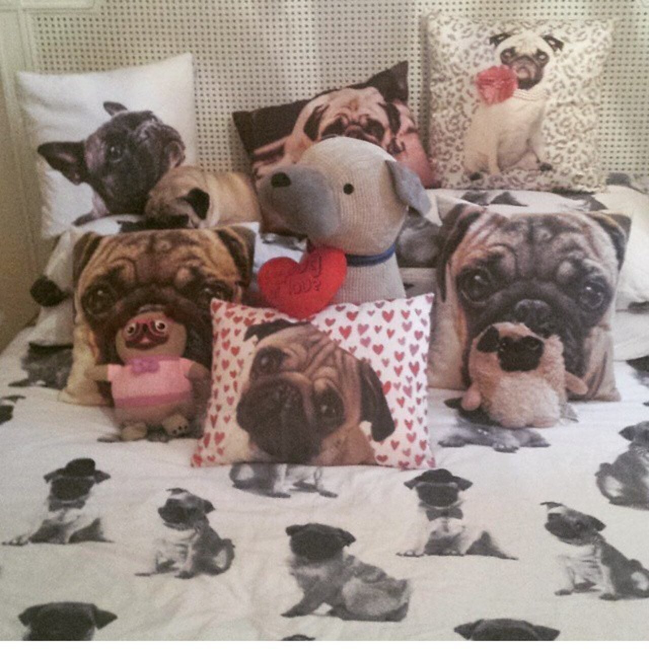 Spot The Pup: Can You Find These 13 Hidden Dogs? - The Dodo