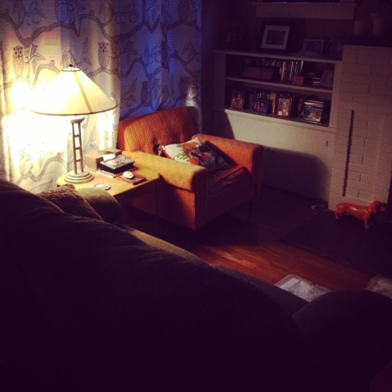 Spot The Pup: Can You Find These 13 Hidden Dogs? - The Dodo