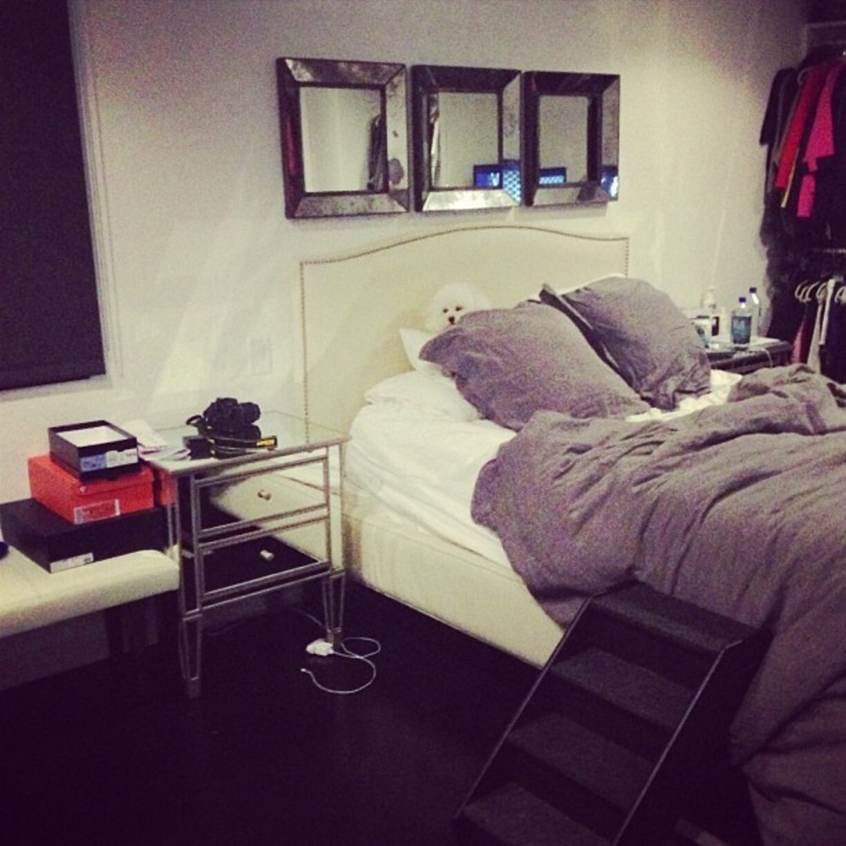 Spot The Pup: Can You Find These 13 Hidden Dogs? - The Dodo