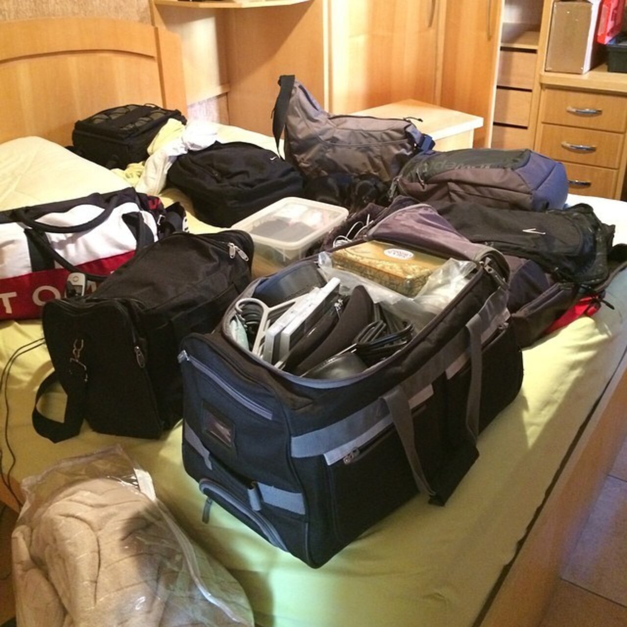 Spot The Pup: Can You Find These 13 Hidden Dogs? - The Dodo