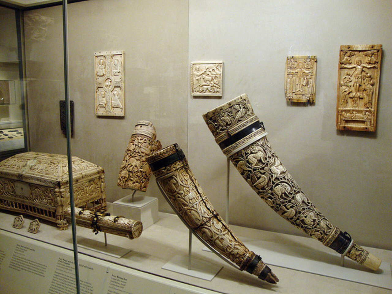 Poaching Power: A Rarely Told Story - The Dodo