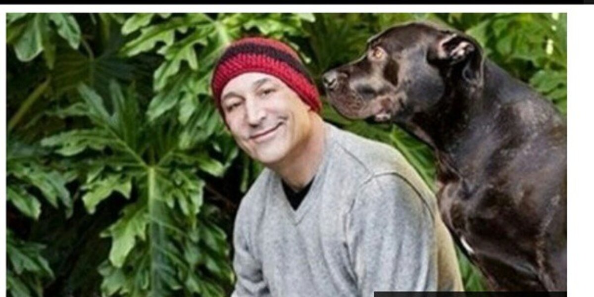 [Untitled] - The Dodo