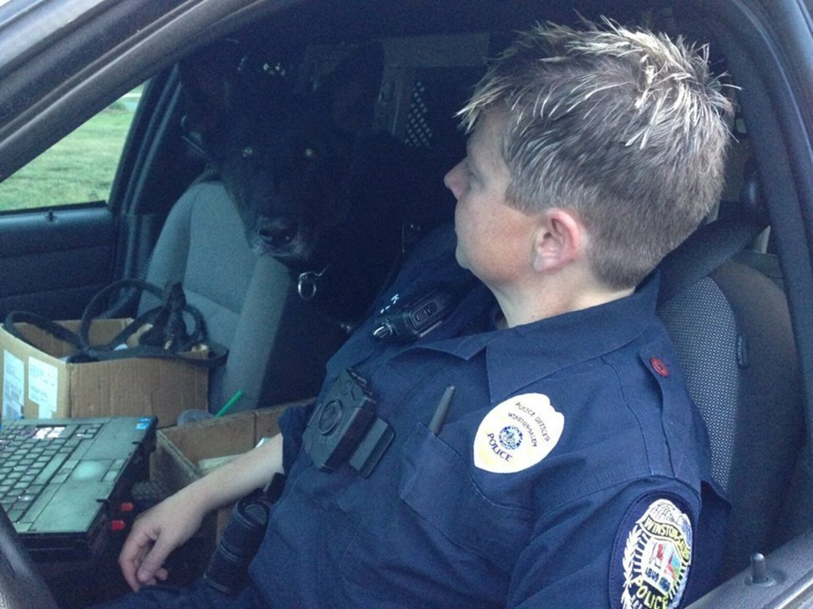 Police Dog Helps A Little Girl Even After He Passes - The Dodo