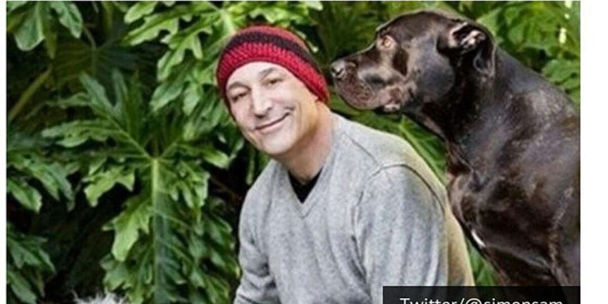 [Untitled] - The Dodo