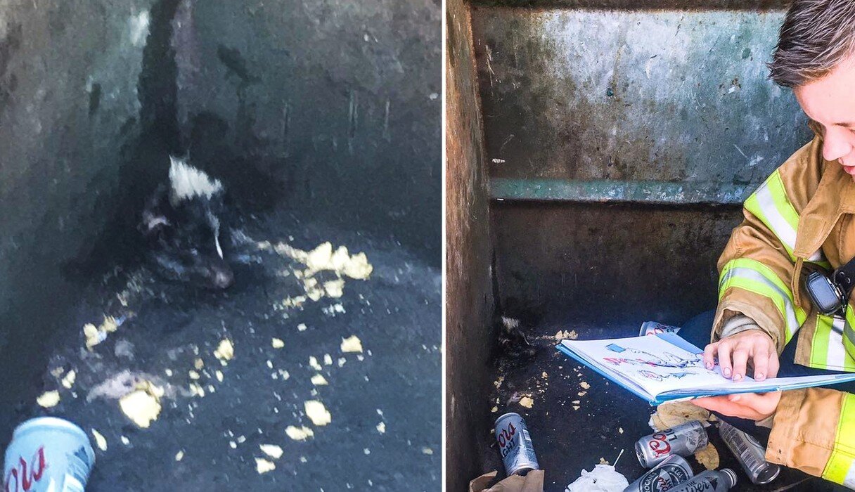 Firefighter Reads 'Cat In The Hat' To Comfort Skunk Trapped In Dumpster ...