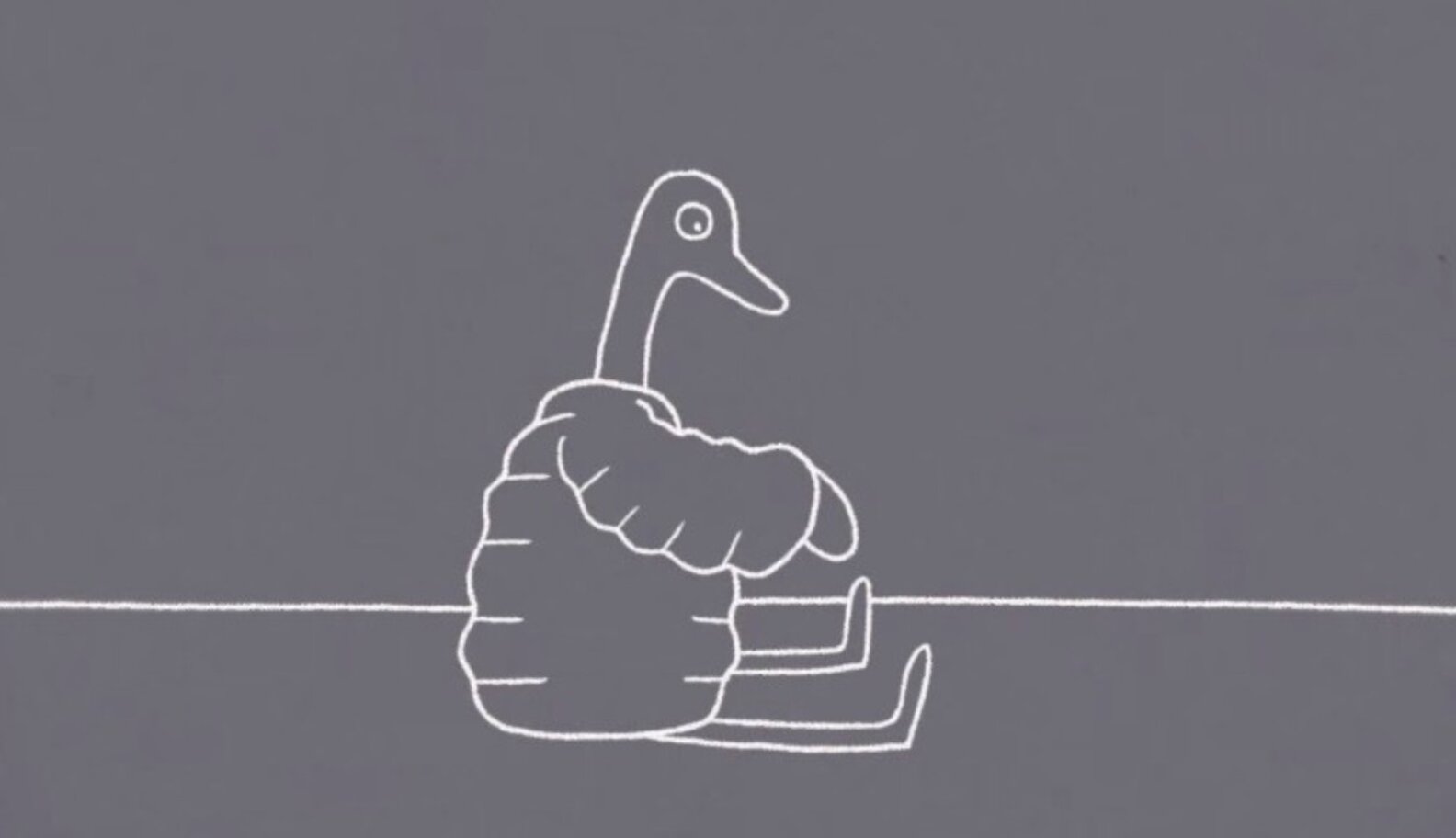 Patagonia’s New Ad Says No To Goose Abuse - The Dodo