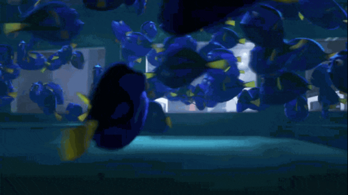 Newest ‘Finding Dory’ Trailer Has Strong Anti-SeaWorld Message - The Dodo