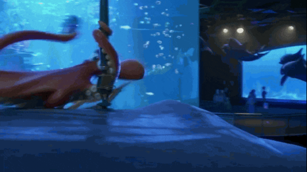 Newest ‘Finding Dory’ Trailer Has Strong Anti-SeaWorld Message - The Dodo