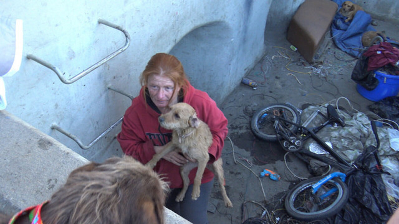 Homeless Woman Says Goodbye To The Stray Dogs She Cared For - The Dodo