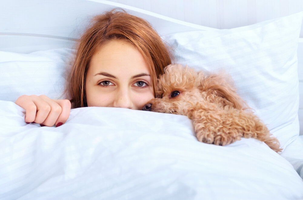 6 Ways To Help When Your Dog's Afraid Of Thunderstorms - The Dodo