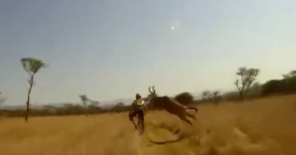 Funniest Short Videos on YouTube That Will Blow Your Mind - Thrillist