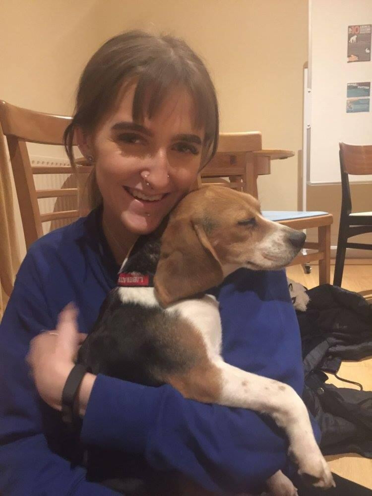 Beagle Rescued From Animal Testing Facility - The Dodo
