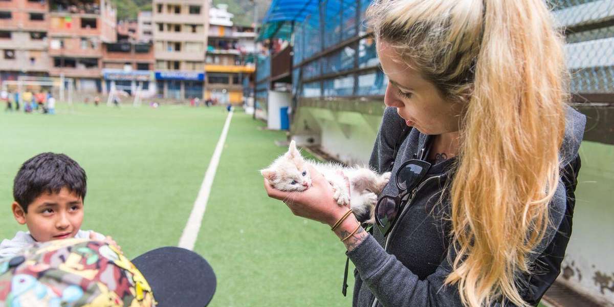 Kitten Lady Rescued Starving Kitten From Peru - The Dodo