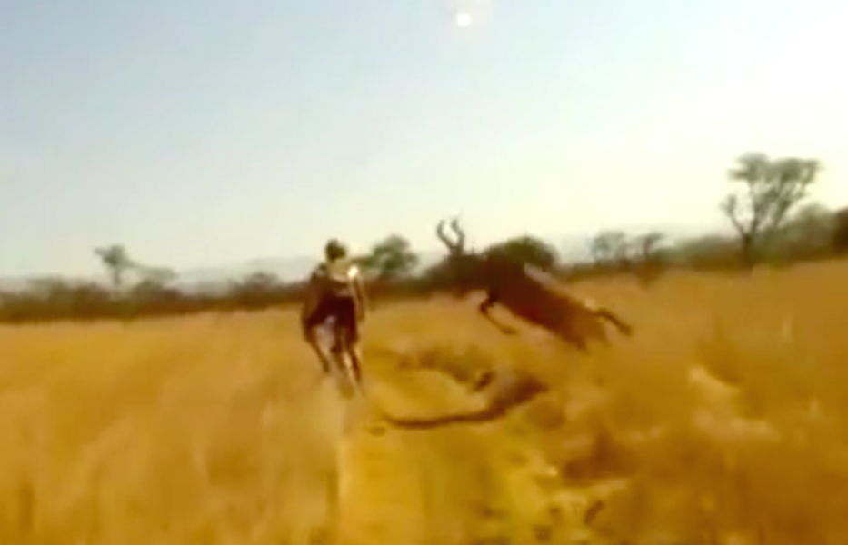 Funniest Short Videos on YouTube That Will Blow Your Mind - Thrillist