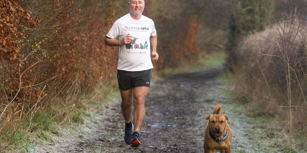 Man Runs Marathons For His Rescue Dog - The Dodo