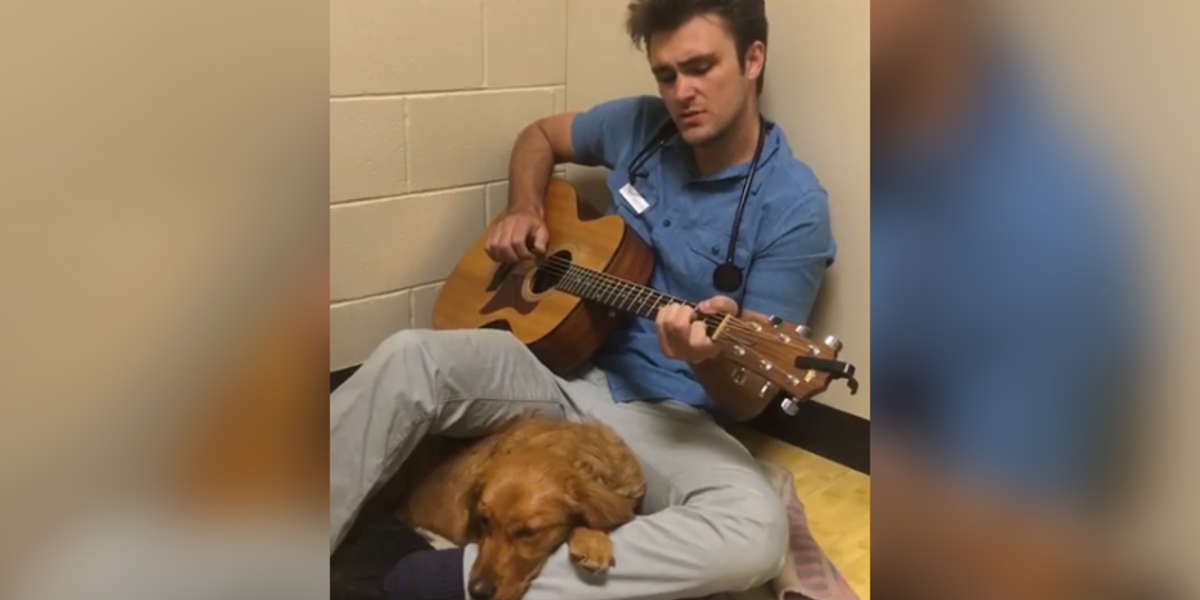 Veterinarian Sings To Puppy To Comfort Her Before Surgery - The Dodo