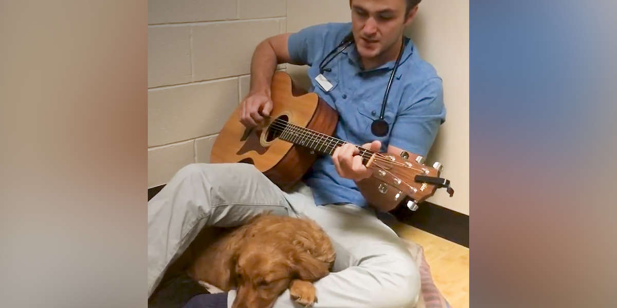 Vet Sings To Comfort Nervous Puppy - Videos - The Dodo