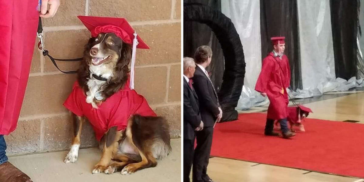 Kids Graduates High School With His Faithful Dog - The Dodo