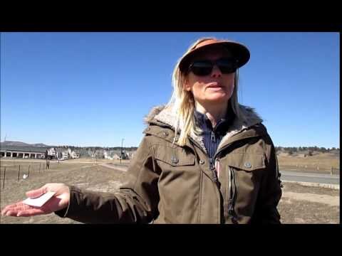 Prairie Dog Fighting in Castle Rock - The Dodo