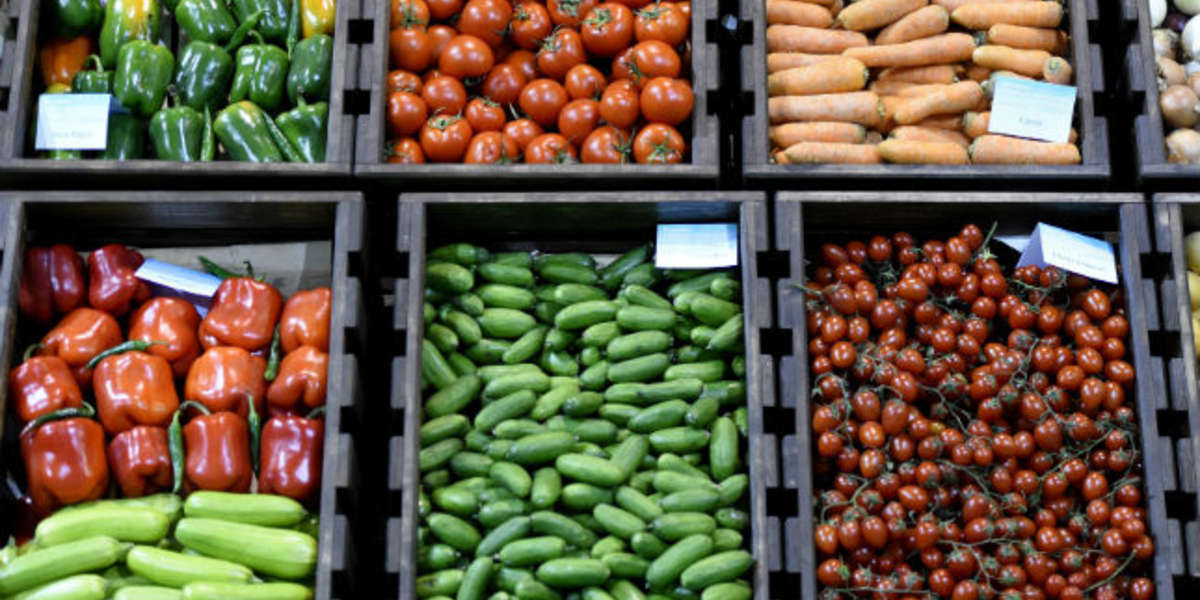 Vegan diet best for planet - The Dodo